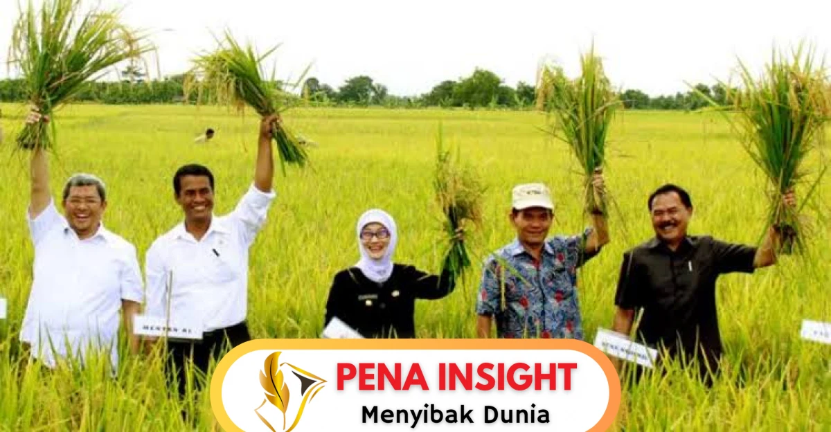 Indonesia Swasembada Beras 2025: Kebangkitan yang Bikin Dunia Resah